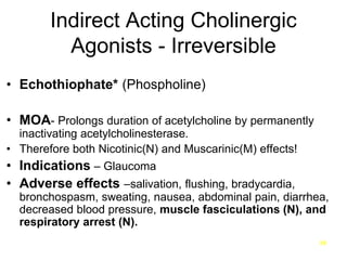 28_ANS_Pharmacology (Sakhile).pptx