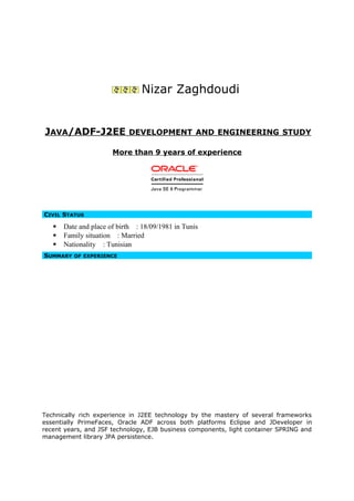 Zaghdoudi Nizar_CV_EN | DOC