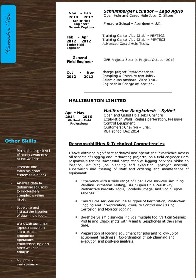 ALLAN JOSE HARALDSSON ROJAS _ CV _ ENG_Jan 2017 | PDF