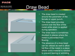 Final Design Presentation | PPT