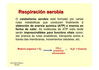 28 catabolismo | PDF