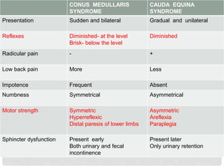CAUDA EQUINA VS CONUS MEDULLARIS SYNDROME | PPTX
