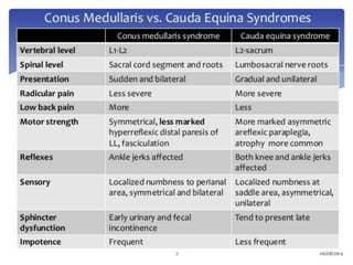 CAUDA EQUINA VS CONUS MEDULLARIS SYNDROME | PPTX