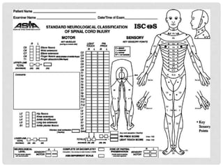 CAUDA EQUINA VS CONUS MEDULLARIS SYNDROME | PPTX
