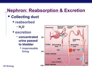 Regulation | PPT