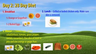 28daydietplan | PDF