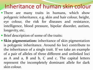 Polygenic inheritance in plants and horticulture and agriculture .pdf