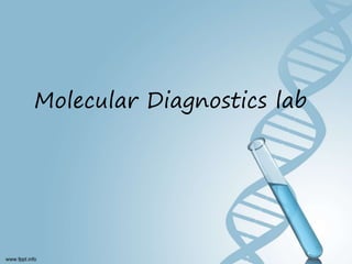 molecular diagnostics DNA isolation | PPT