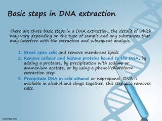 molecular diagnostics DNA isolation | PPT