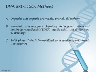 molecular diagnostics DNA isolation | PPT