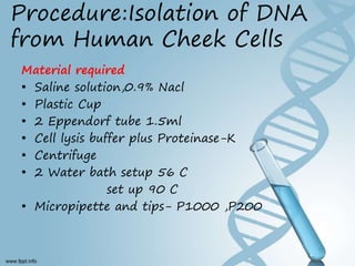 molecular diagnostics DNA isolation | PPT