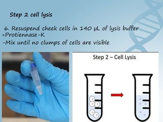 molecular diagnostics DNA isolation | PPT
