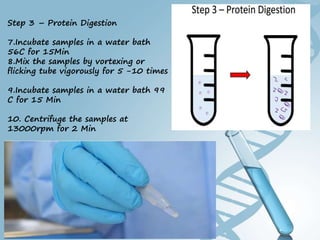 molecular diagnostics DNA isolation | PPT