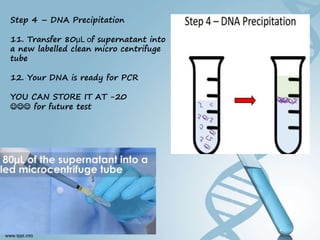 molecular diagnostics DNA isolation | PPT