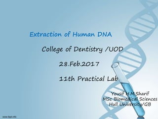 molecular diagnostics DNA isolation | PPT