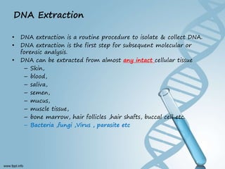 molecular diagnostics DNA isolation | PPT