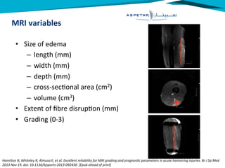Johannes Tol - hamstring injuries- PRP | PPT
