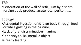 28 june 2020 reticuloperitonitis | PPT
