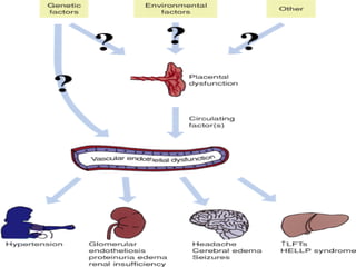 28)Obstetrics And Gynecology | PPT