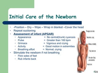28)Obstetrics And Gynecology | PPT