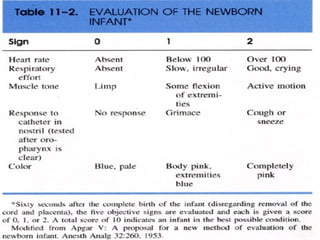 28)Obstetrics And Gynecology | PPT