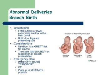 28)Obstetrics And Gynecology | PPT