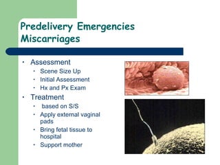 28)Obstetrics And Gynecology | PPT
