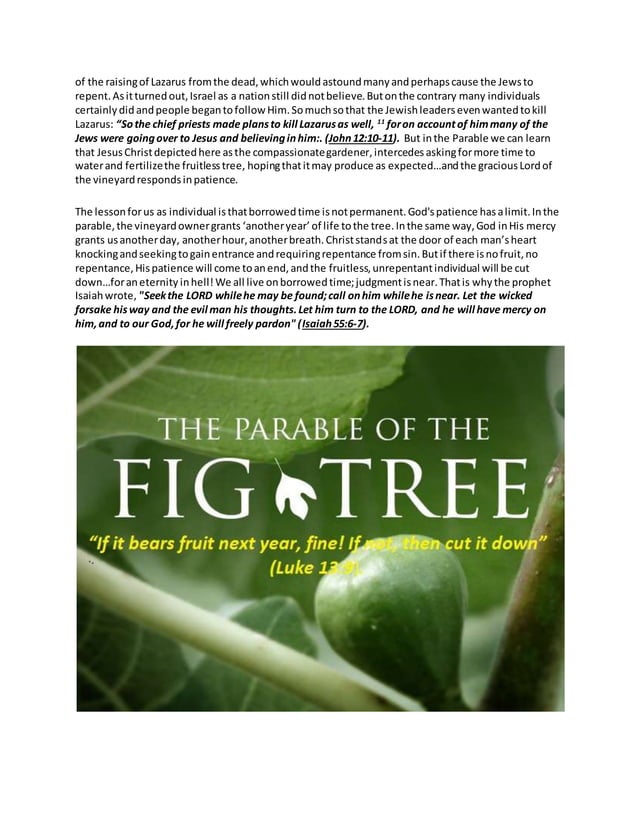 28th August 2016 - The Parable of the Fig tree | PDF