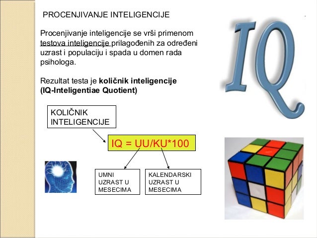 inteligencija