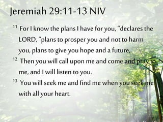 Jeremiah 29 11 13