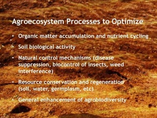 29 .Agro ecology principles A Presentation By Mr Allah Dad Khan | PPTX ...