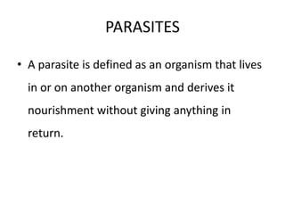 Parasite Science Definition