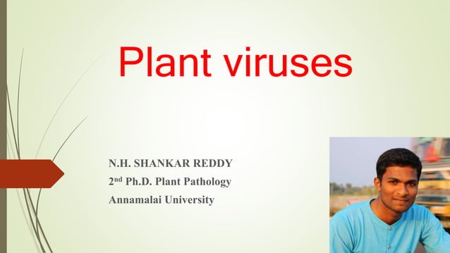 Plant viruses | PPT