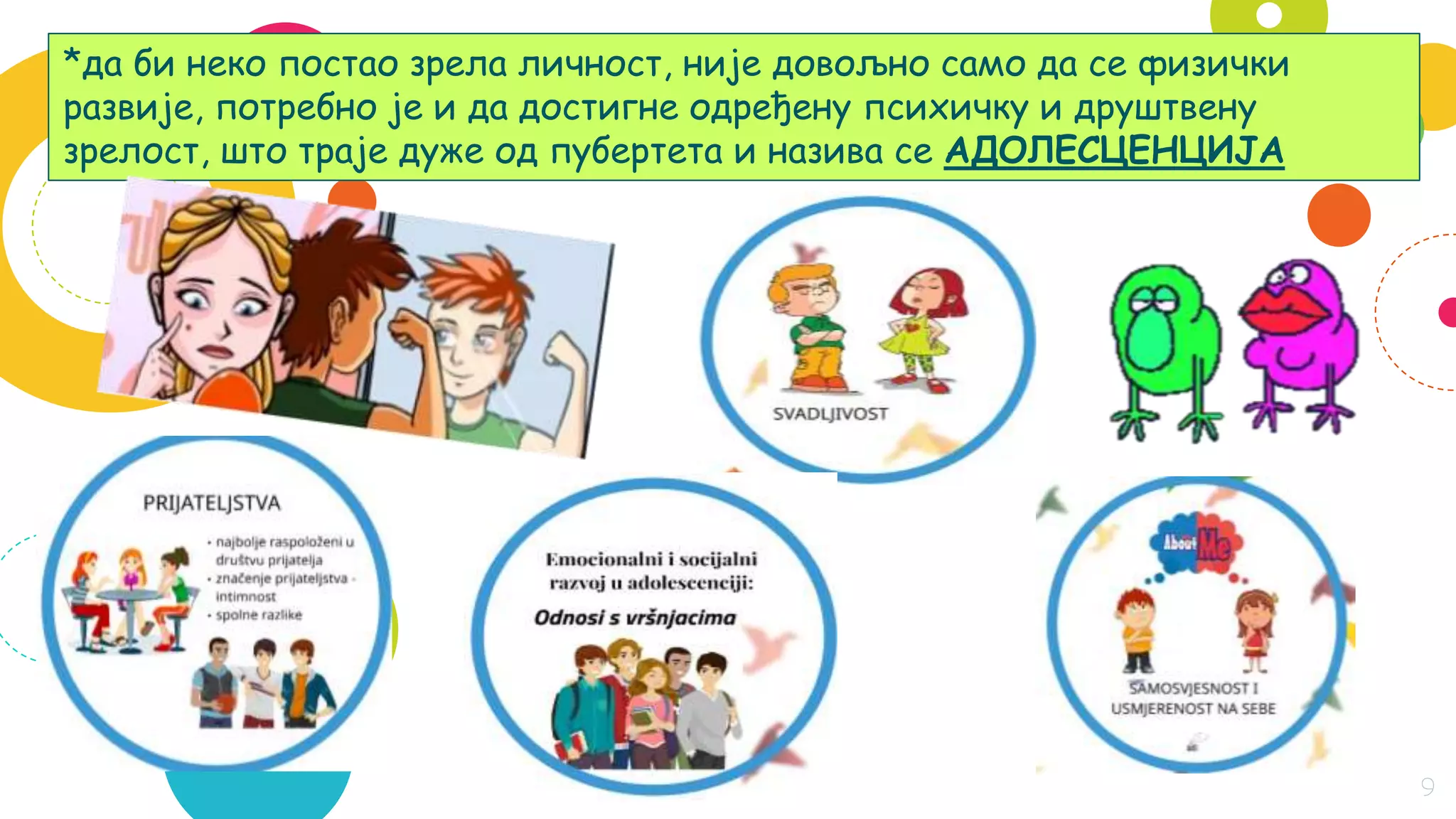 29. razvice, pubertet kod čoveka | PPTX