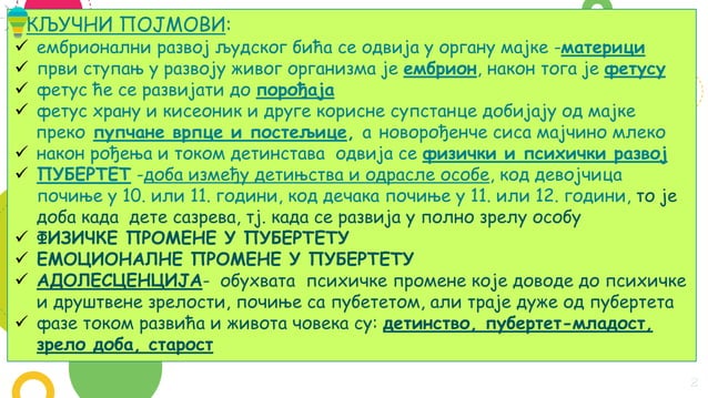 29. razvice, pubertet kod čoveka | PPTX