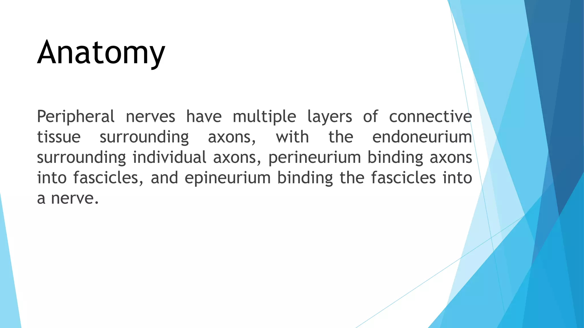 29. Peripheral nerve injury.pptx