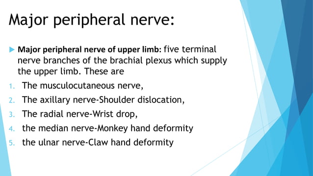 29. Peripheral nerve injury.pptx