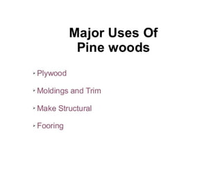 29. Pine timber.pdf