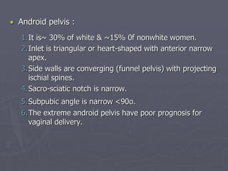 Anatomy of the bony pelvis With all types | PPT