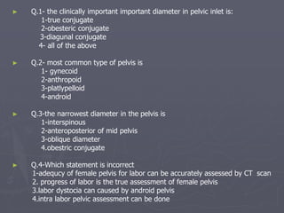 Anatomy of the bony pelvis With all types | PPT