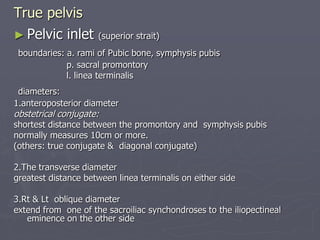 Anatomy of the bony pelvis With all types | PPT