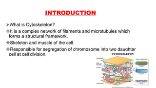 CYTOSKELETON Rohit kumar Hnb Garhwal university | PPTX