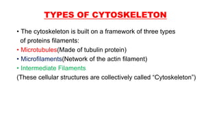 CYTOSKELETON Rohit kumar Hnb Garhwal university | PPTX