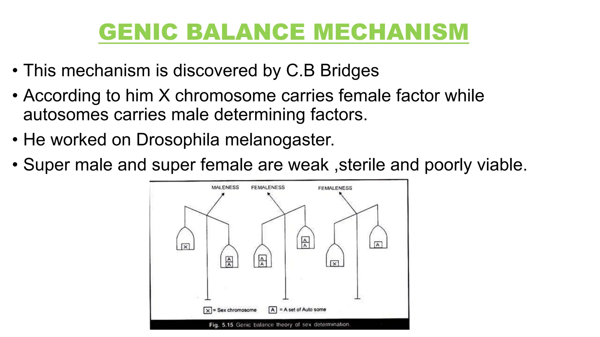 Sex Identification By Rohit Kumar Ppt Hnbgu Ppt