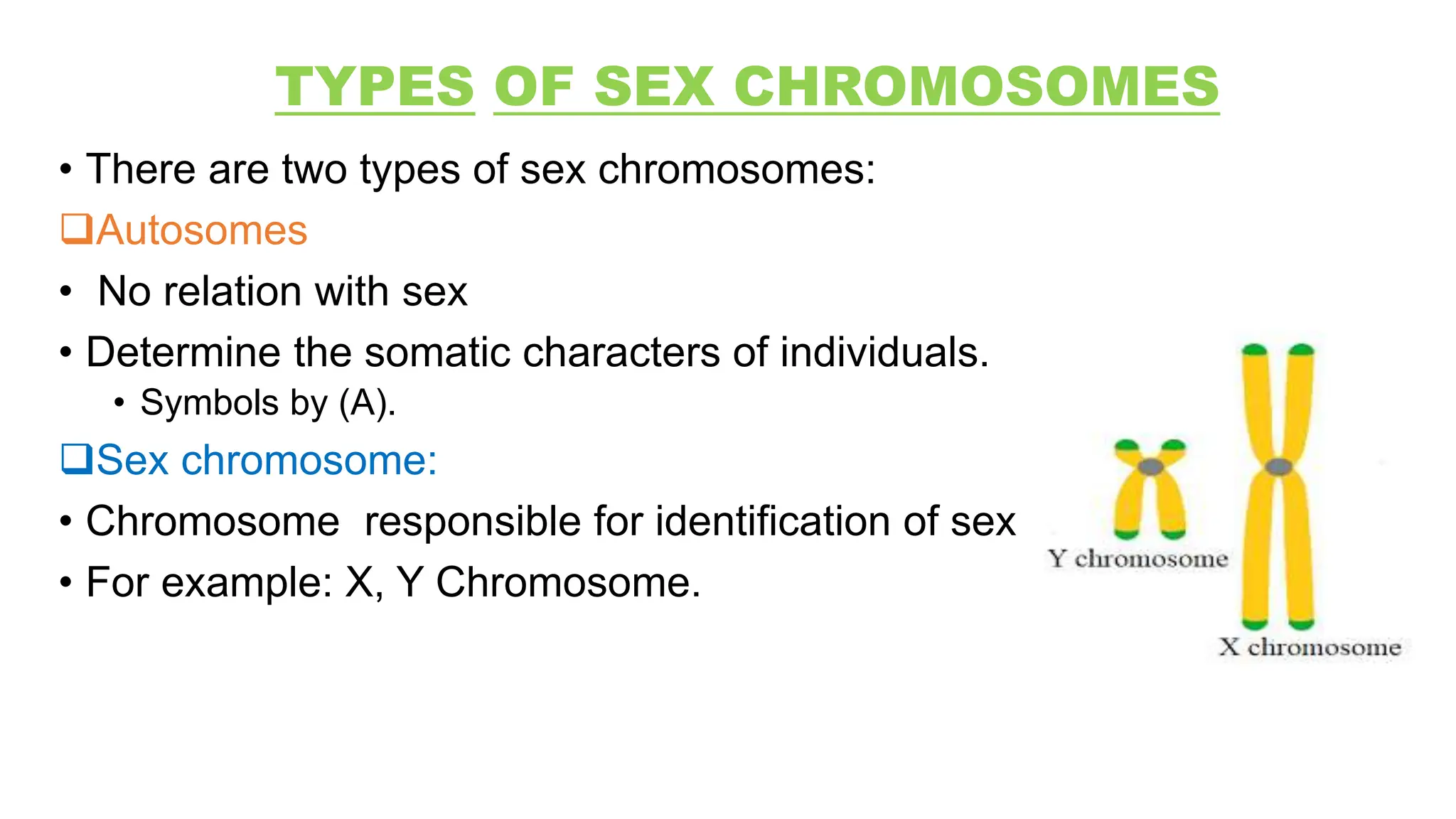 Sex Identification By Rohit Kumar Ppt Hnbgu Ppt
