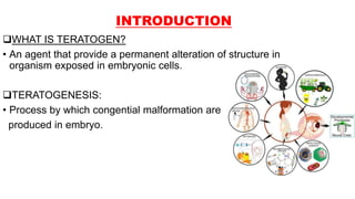 Teratogen by Rohit kumar Hnbgu uttarakhand | PPTX