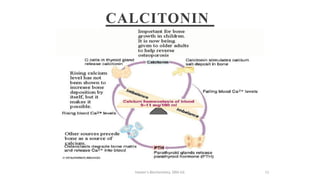 DPT - Biochemistry & Genetics - II (Hormones) Thyroid, Parathyroid ...