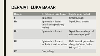 29. Luka Bakar.ppt (Burn ppt) (Medicine) | PPT