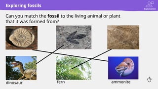How fossils are formed. Exploring different types of fossils. | PPTX