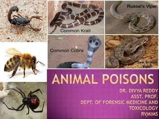 Animal poisons | PPTX